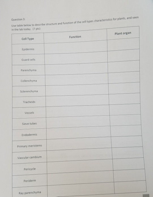 Solved Question 3 Use table bel in the lab today. (7 pts) ow | Chegg.com