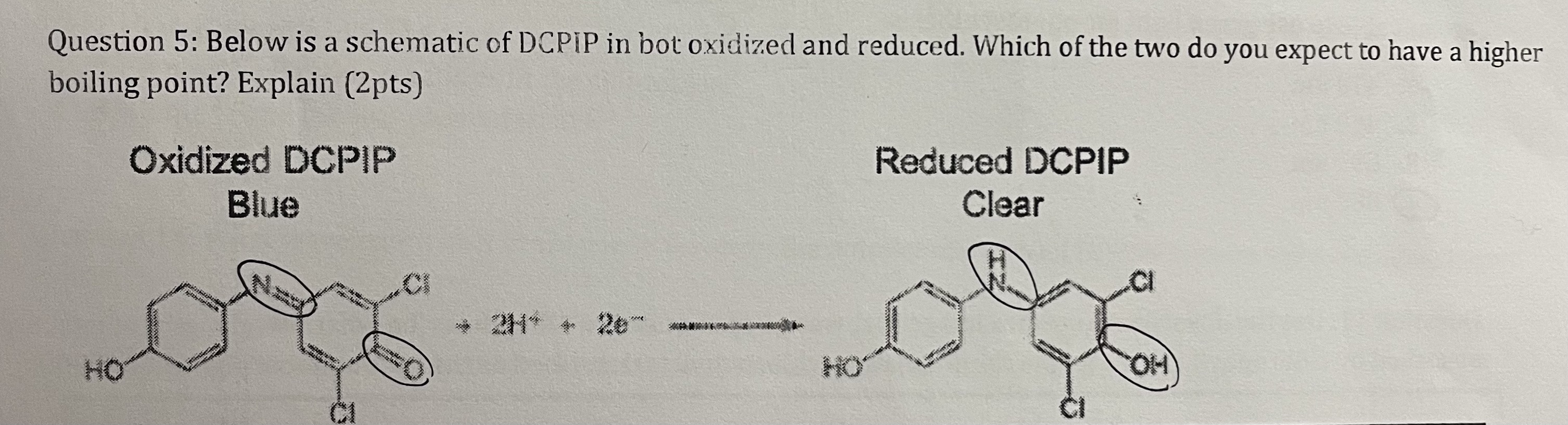 Solved Question 5: Below is a schematic of DCPIP in both | Chegg.com