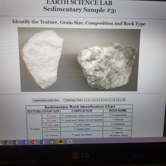 Solved EARTH SCIENCE LAB Sedimentary Sample #1: Identify the | Chegg.com