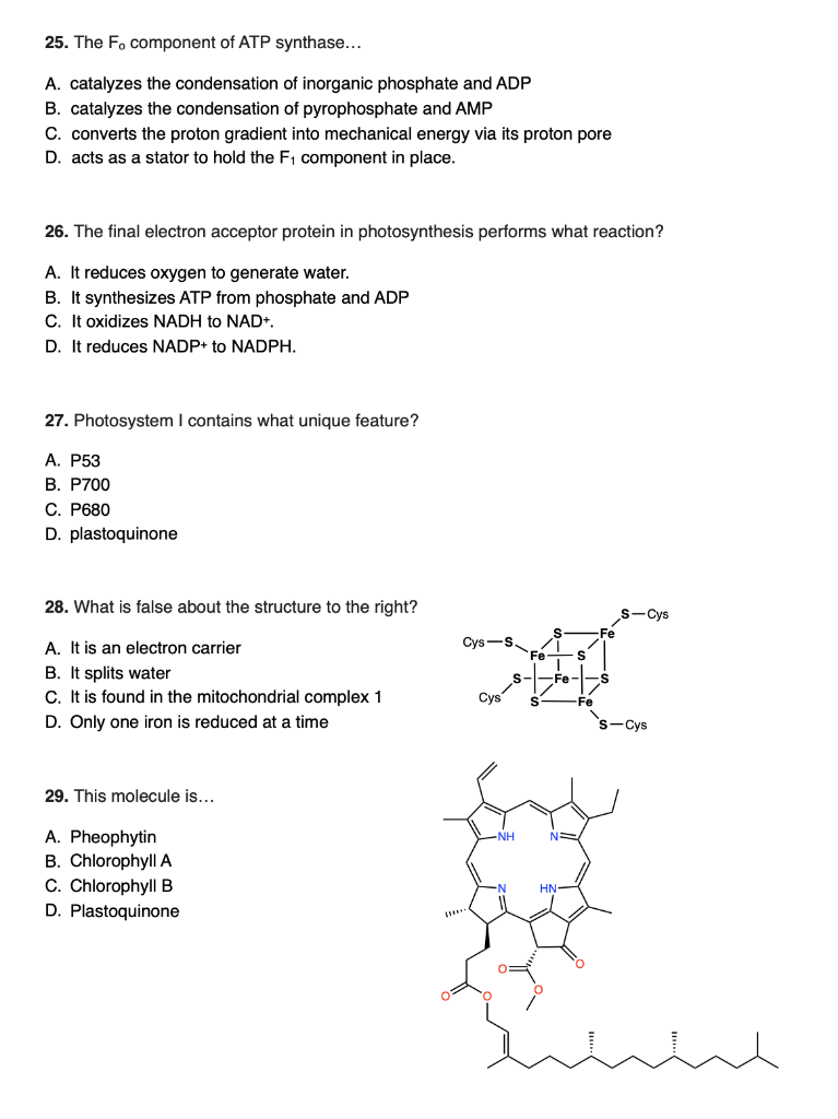 Solved 25. The F, component of ATP synthase... A. catalyzes | Chegg.com