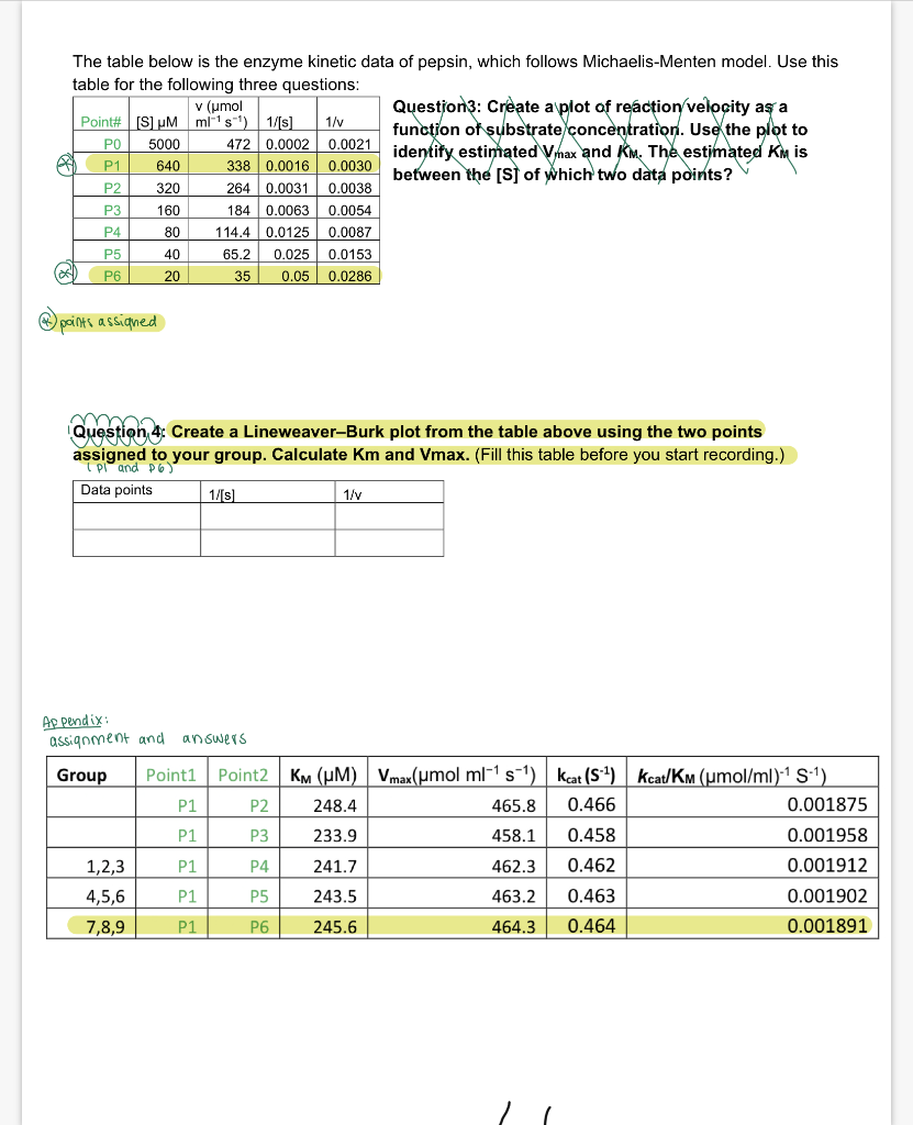 Solved Question 4: Create a Lineweaver–Burk plot from the | Chegg.com