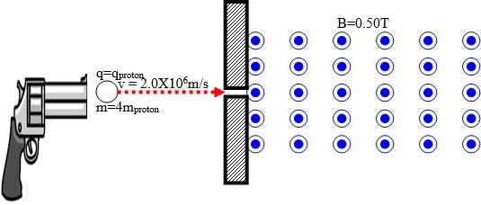 Solved Using the diagram: A. the initial force on the | Chegg.com