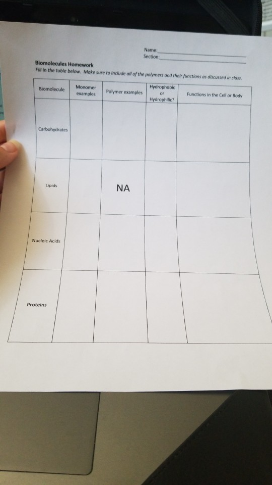 Solved Name: Section: Biomolecules Homework Fill in the | Chegg.com