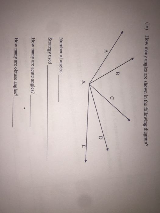 Solved (iv) How many angles are shown in the following | Chegg.com