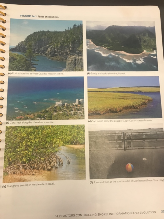 Solved FIGURE 14.1 Types of shorelines (a) Rocky shoreline | Chegg.com