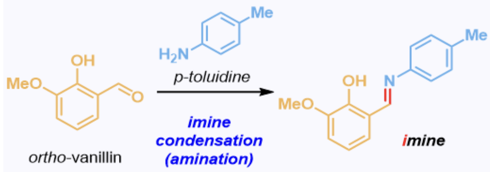 Solved Draw a full mechanism for the imine condensation | Chegg.com
