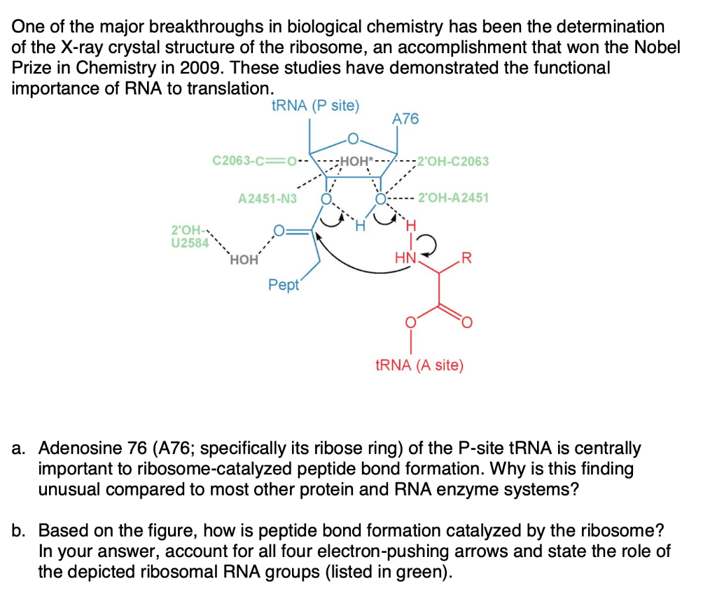 Solved One of the major breakthroughs in biological | Chegg.com