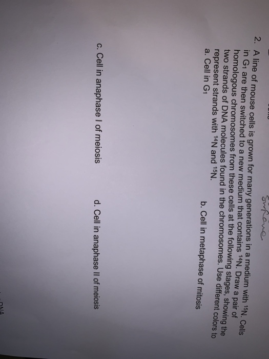 Solved 2. A line of mouse cells is grown for many | Chegg.com