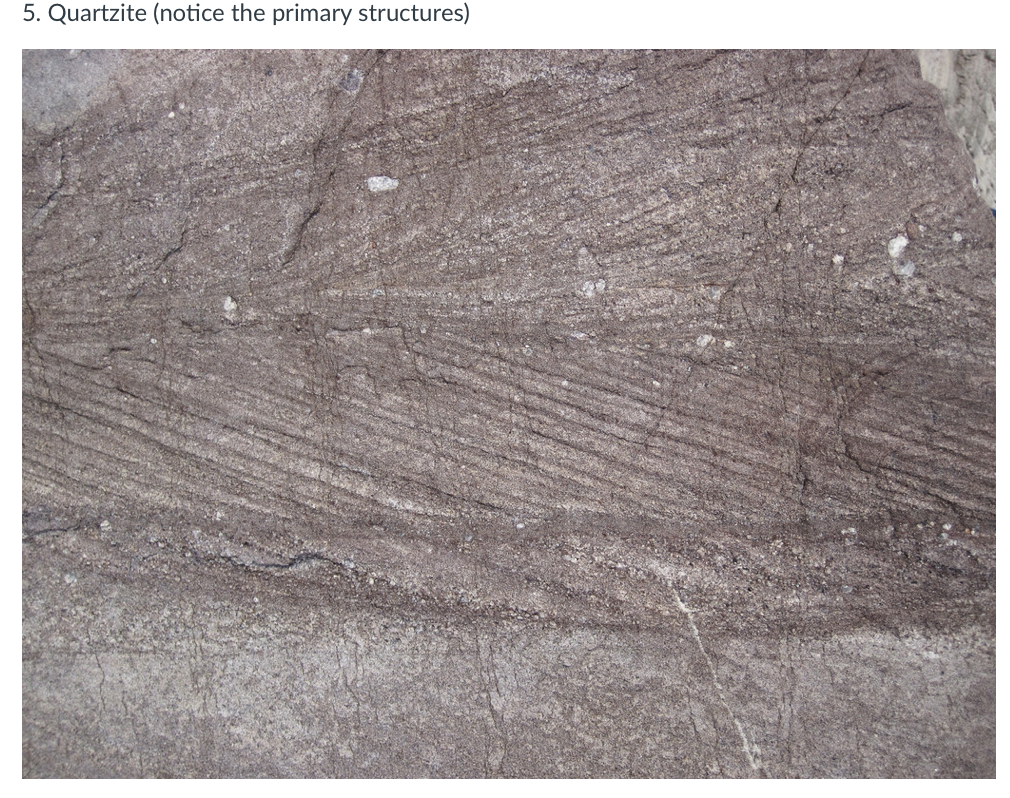 Solved Below are sedimentary or metamorphic rocks containing | Chegg.com