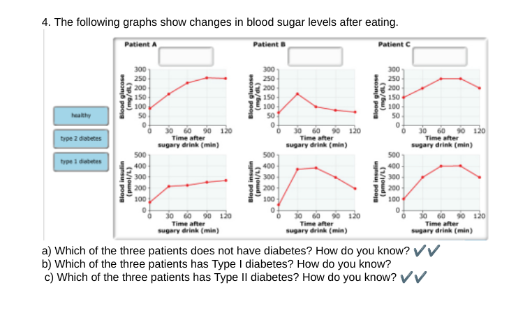 Solved 4. The following graphs show changes in blood sugar | Chegg.com