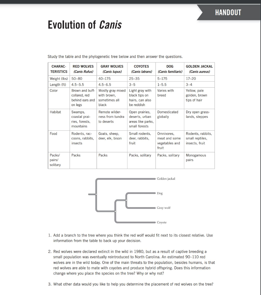 Solved HANDOUT Evolution of Canis Study the table and the | Chegg.com