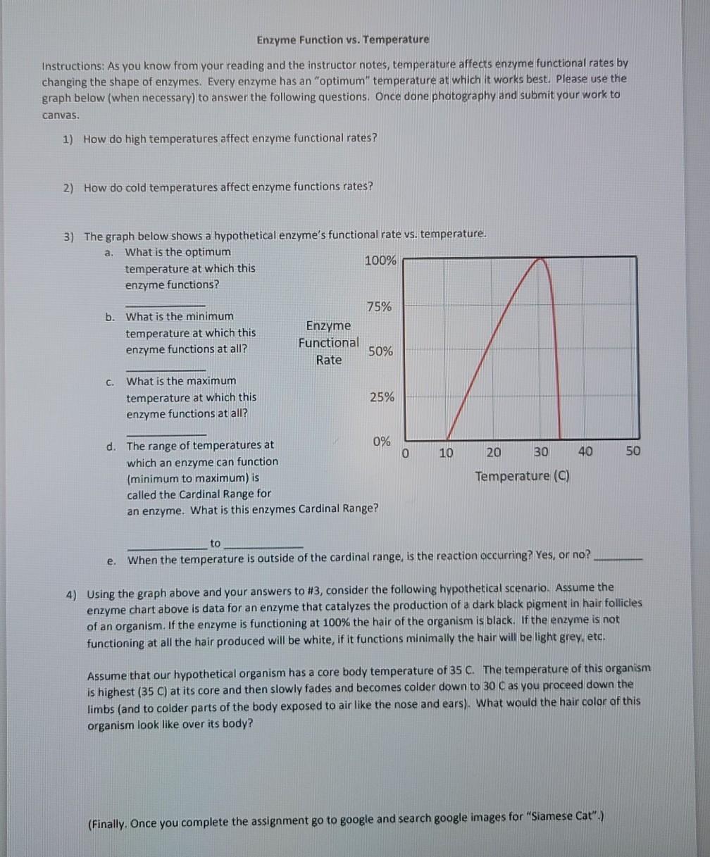 Solved Enzyme Function vs. Temperature Instructions: As you | Chegg.com
