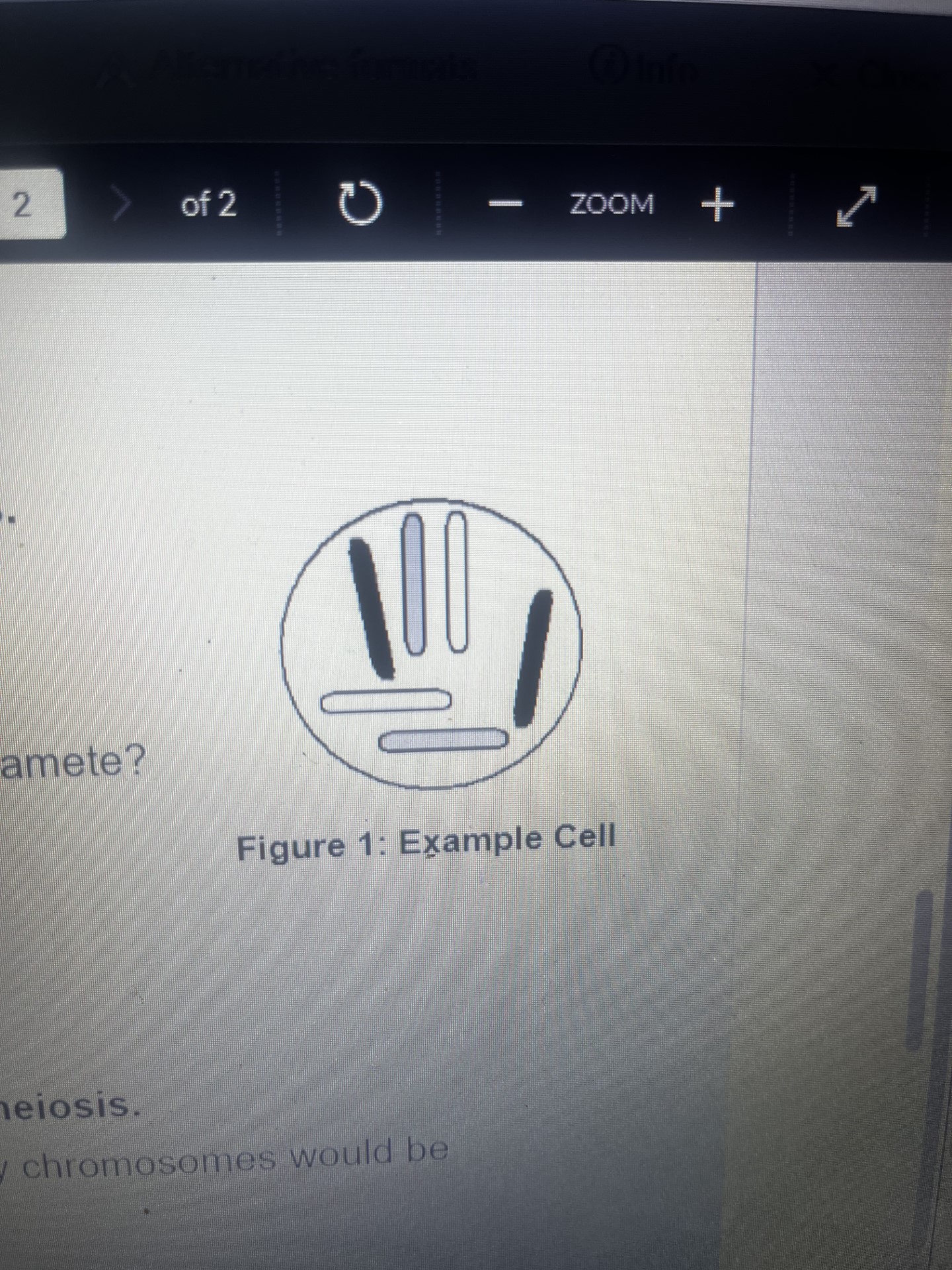 Solved Look at the body cell in figure 1 below to answer the | Chegg.com
