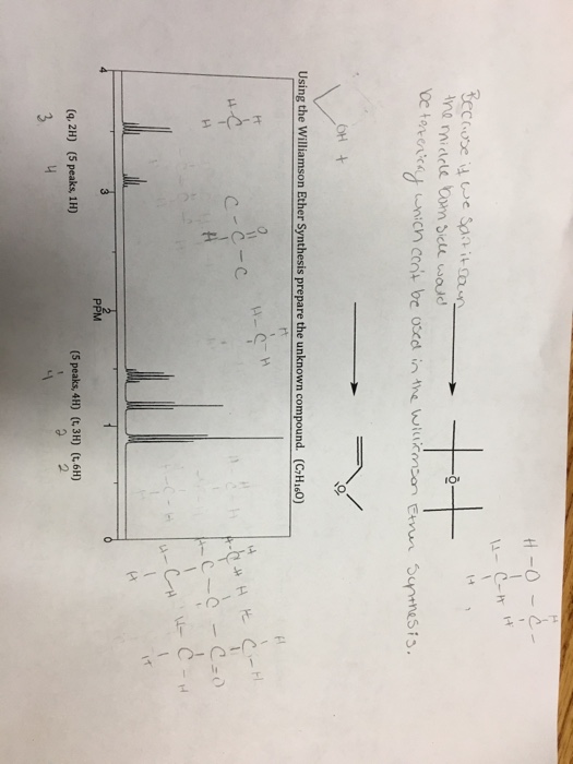 Solved Using the Williamson Ether Synthesis prepare the | Chegg.com