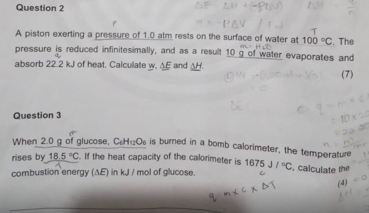 Solved A piston exerting a pressure of 1.0 atm rests on the | Chegg.com