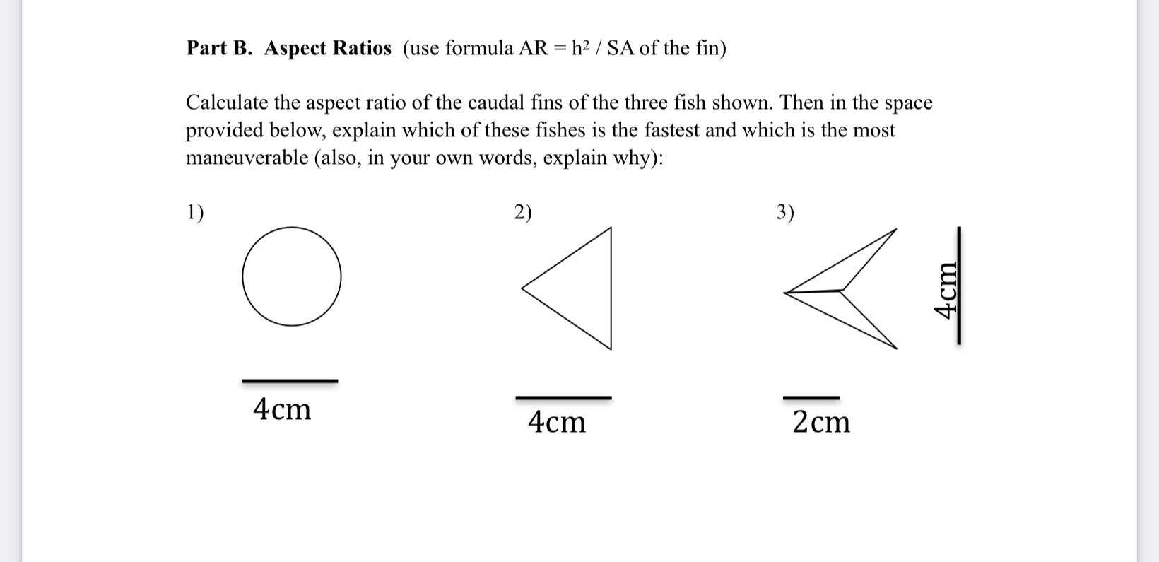 Solved Part B. Aspect Ratios (use formula AR = h2 / SA of | Chegg.com
