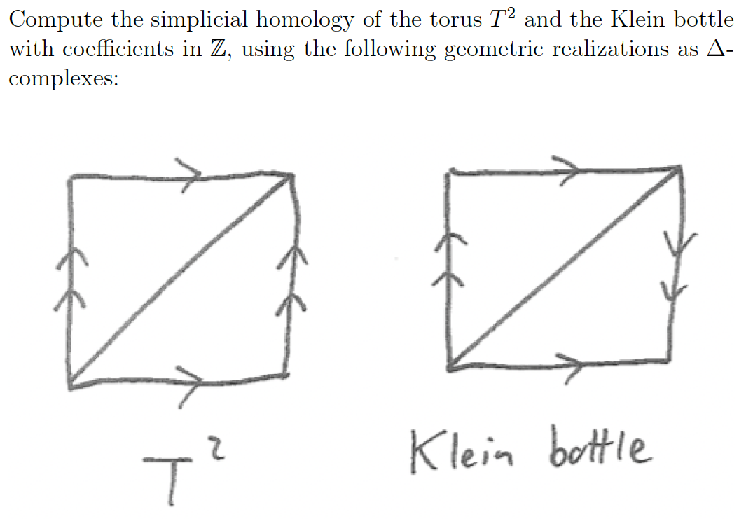 Solved Compute the simplicial homology of the torus T2 and | Chegg.com