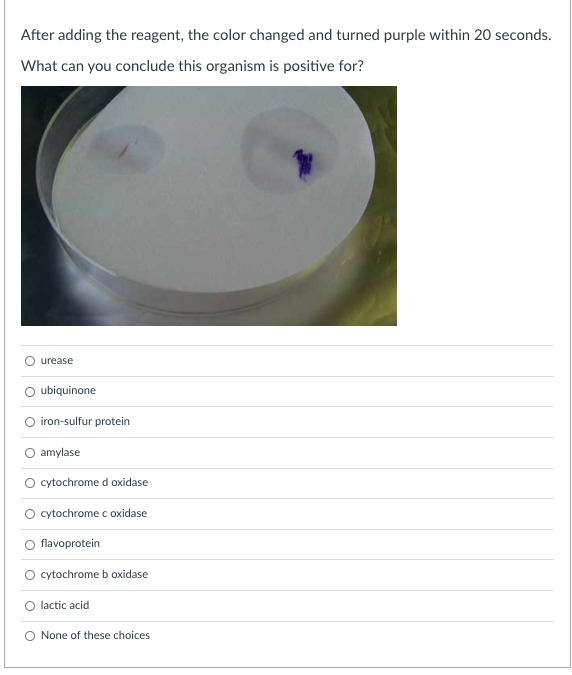 Solved After adding the reagent, the color changed and | Chegg.com