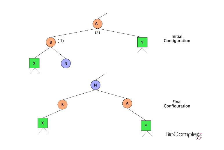 Solved Please write in java. Implement the rotations for a | Chegg.com