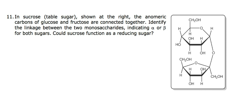 Solved 11. In sucrose (table sugar), shown at the right, the | Chegg.com