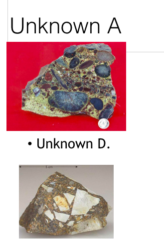 Solved Describe Unknown A. Include information about it's | Chegg.com
