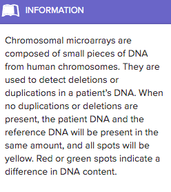 Solved In the Chromosomal Microarray, which patient appears | Chegg.com