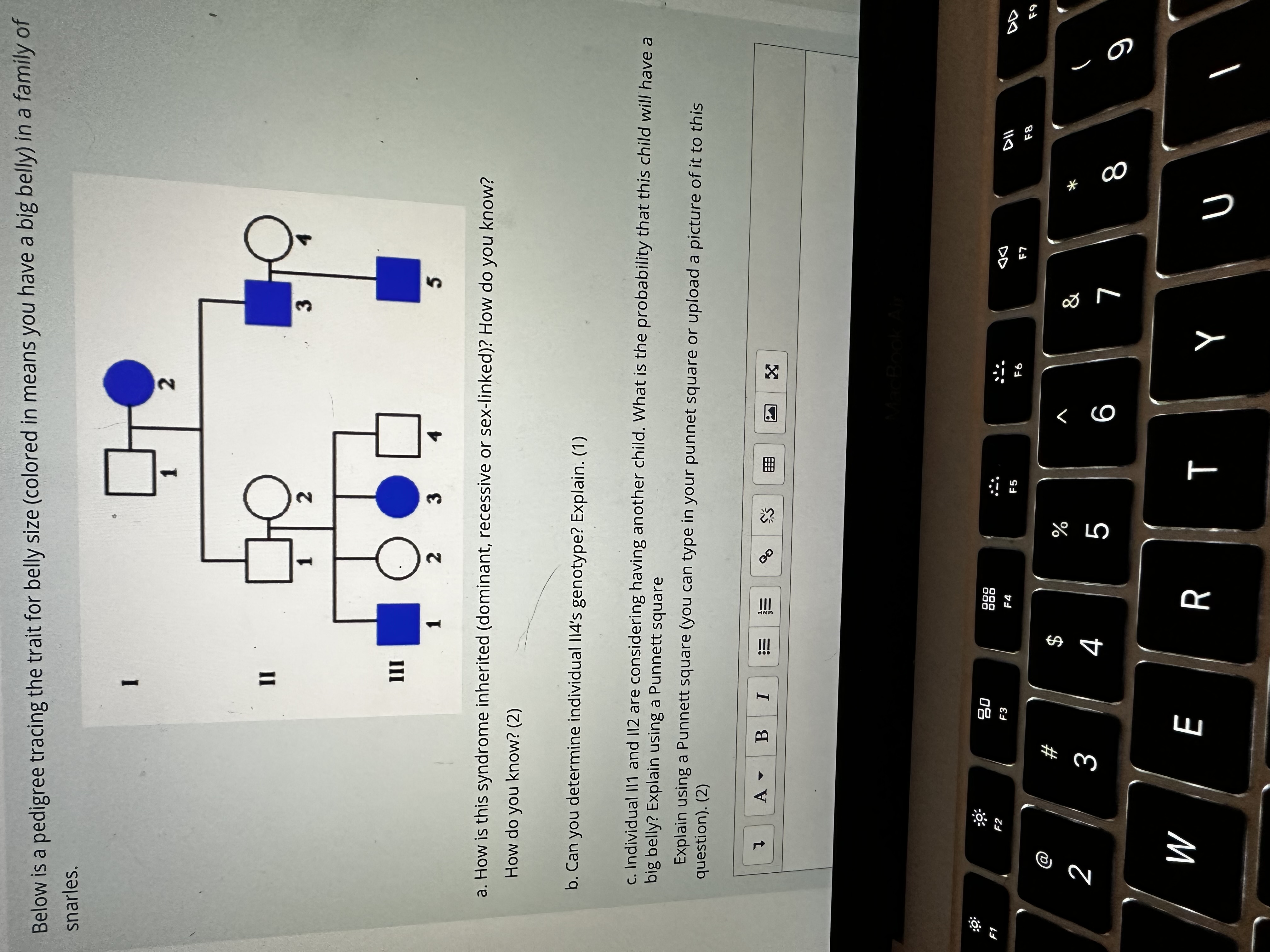 Solved Below is a pedigree tracing the trait for belly size | Chegg.com