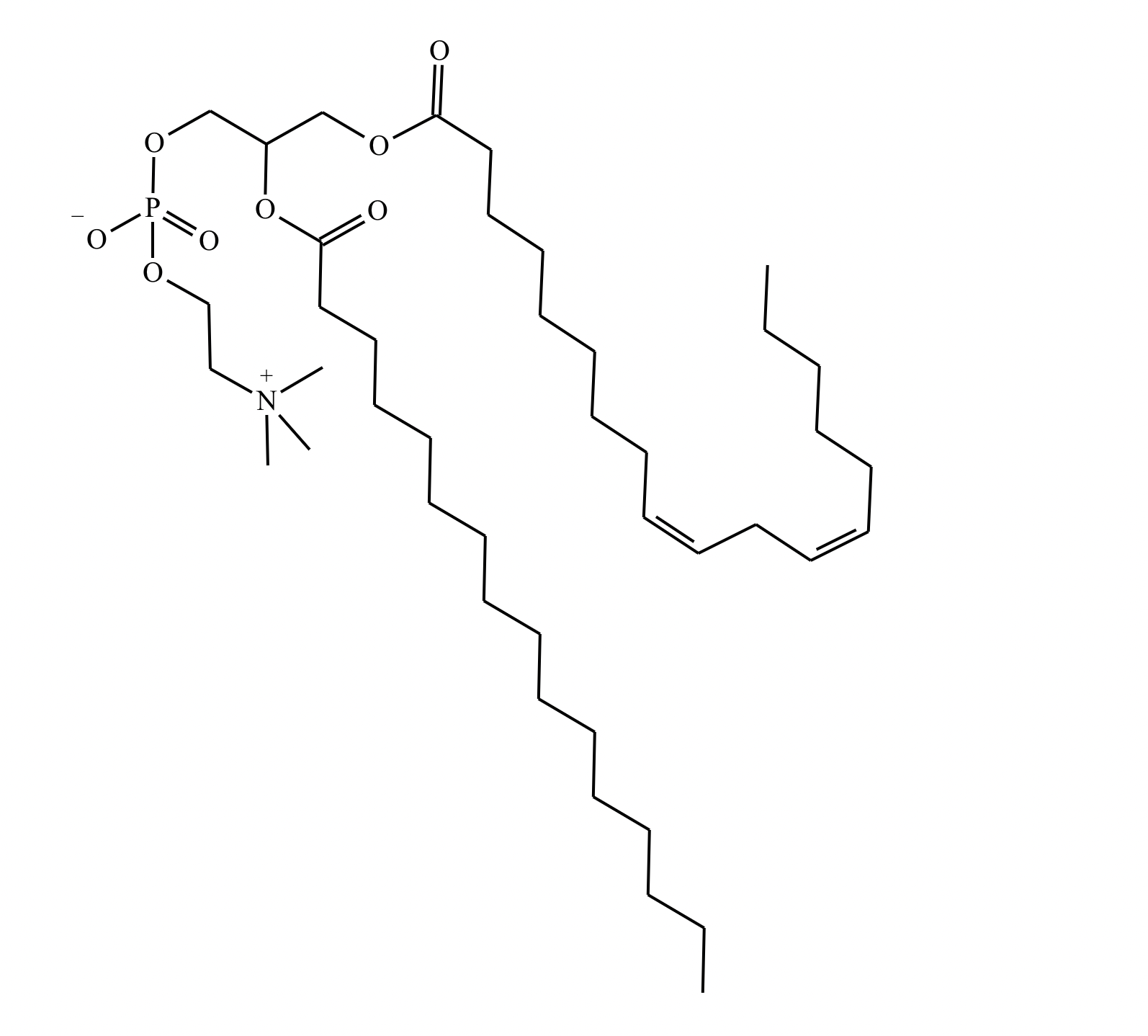 Solved Which of the following are phospholipids? Check all | Chegg.com