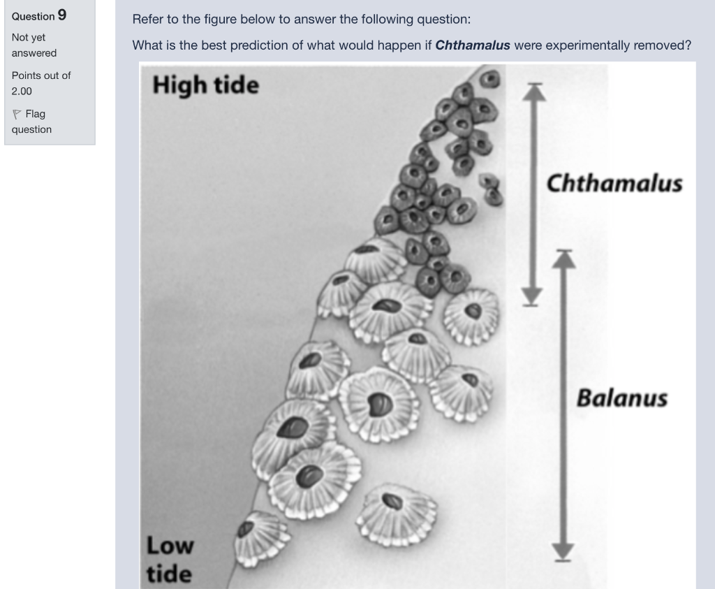 Solved Question 9 Not yet Refer to the figure below to | Chegg.com