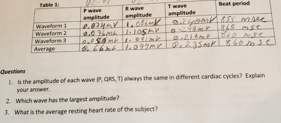 Solved Table 1: Waveform 1 Waveform 2 Waveform 3 Average 12- | Chegg.com