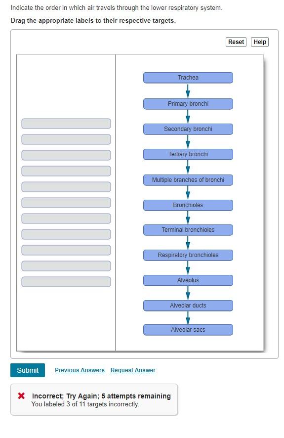 Solved Indicate the order in which air travels through the | Chegg.com