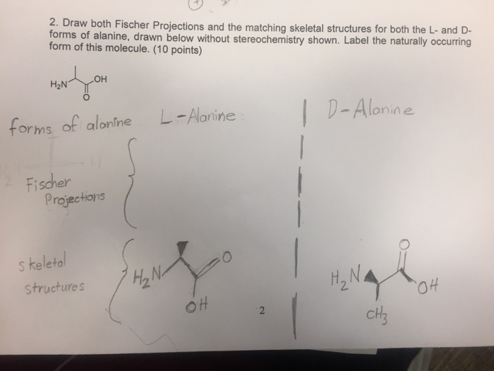 Solved 2. Draw both Fischer Projections and the matching | Chegg.com