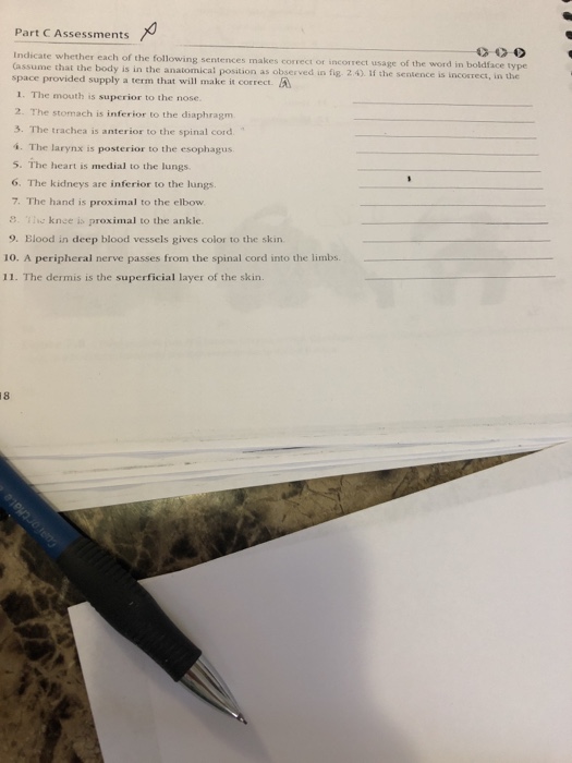 Solved Part C Assessments Indicate whether each of the | Chegg.com