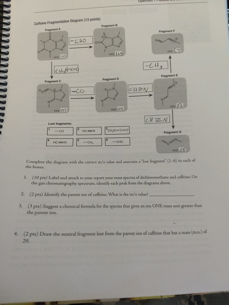 Solved Caffeine Fragmentation Diagram (13 points) Fragment B | Chegg.com