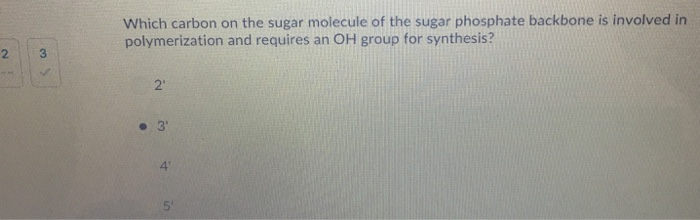 Solved Which carbon on the sugar molecule of the sugar | Chegg.com