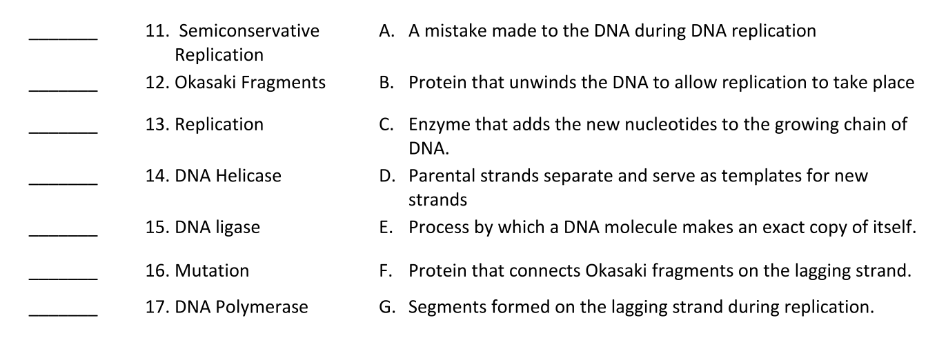 Solved A. A mistake made to the DNA during DNA replication | Chegg.com