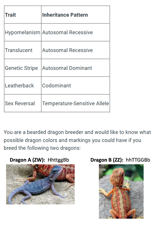 Solved only need help with last one but if you can see if my | Chegg.com