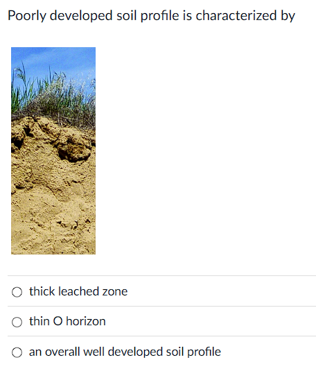 Solved Poorly developed soil profile is characterized | Chegg.com