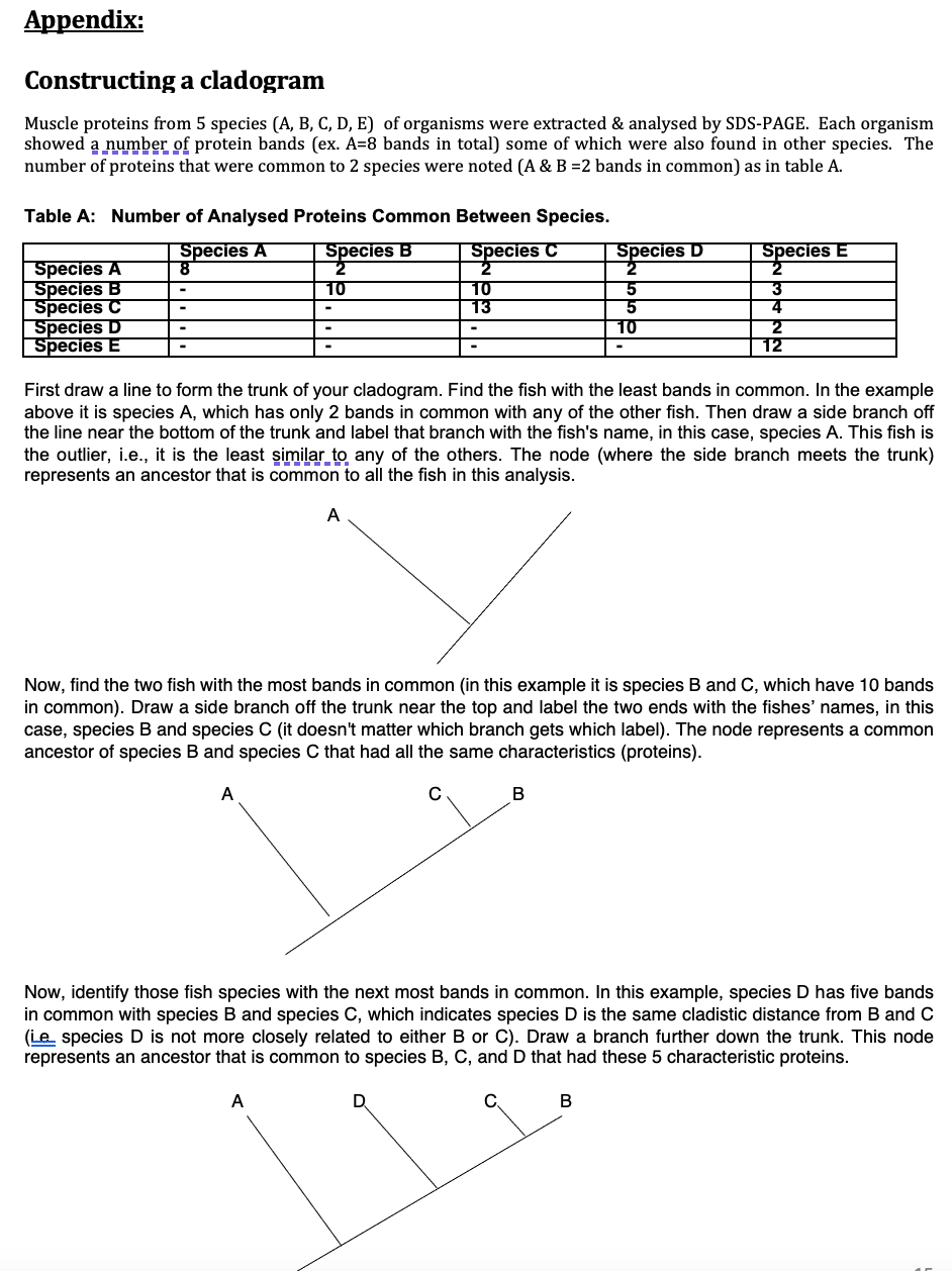 Solved LAB 5b: COMPARATIVE PROTEOMICS Recent developments | Chegg.com