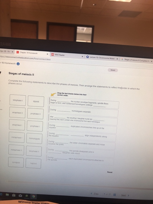 Solved M MHE Reader tps/ 19 Homework Stages of meiosis II | Chegg.com
