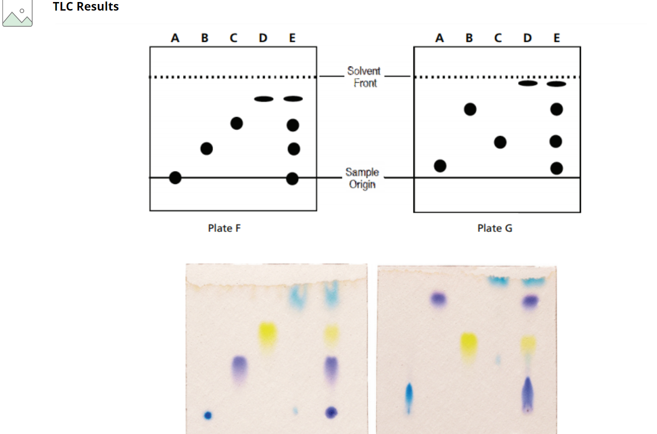 Solved 1. Are the RF values of the dyes the same in solvent | Chegg.com