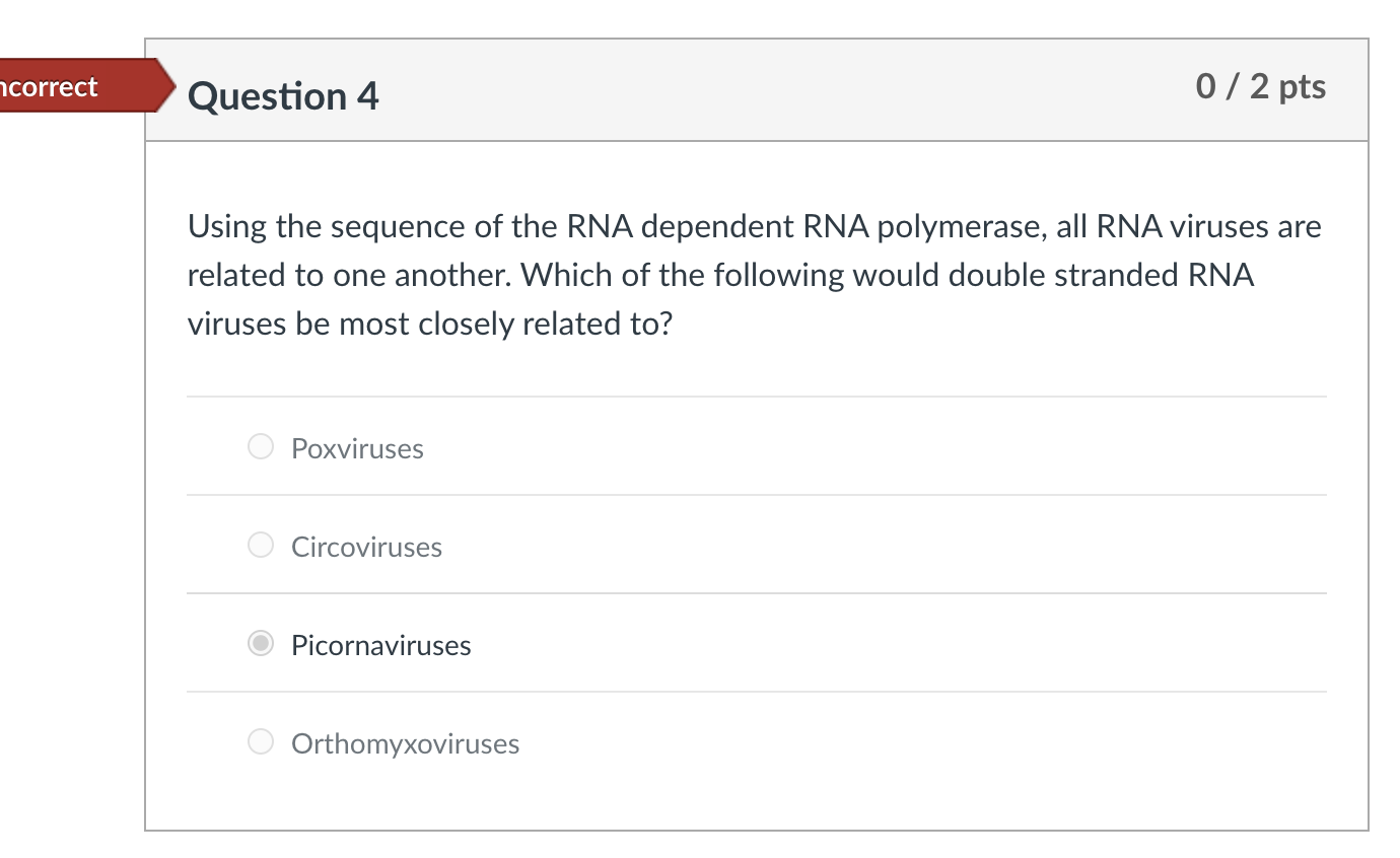 Solved Using the sequence of the RNA dependent RNA | Chegg.com