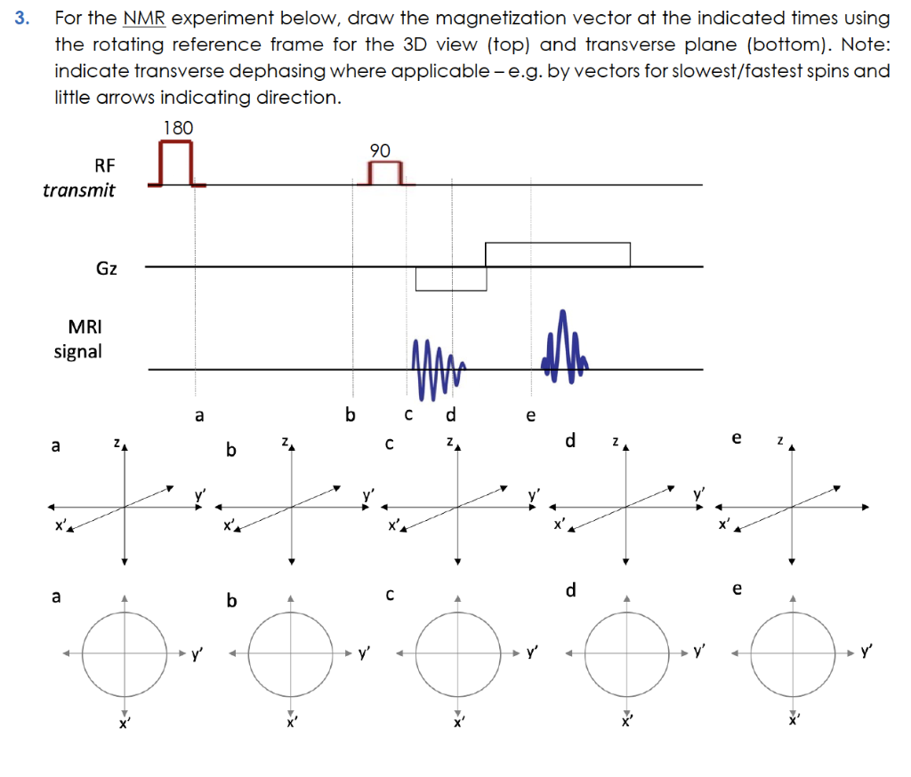 Solved For the NMR experiment below, draw the magnetization | Chegg.com