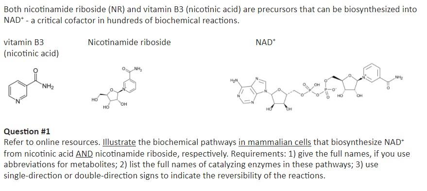 Both nicotinamide riboside (NR) and vitamin B3 | Chegg.com
