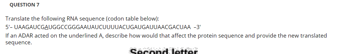 Solved QUESTION 7 Translate the following RNA sequence | Chegg.com