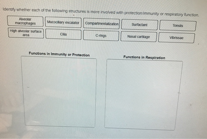 Solved Identify whether each of the following structures is | Chegg.com