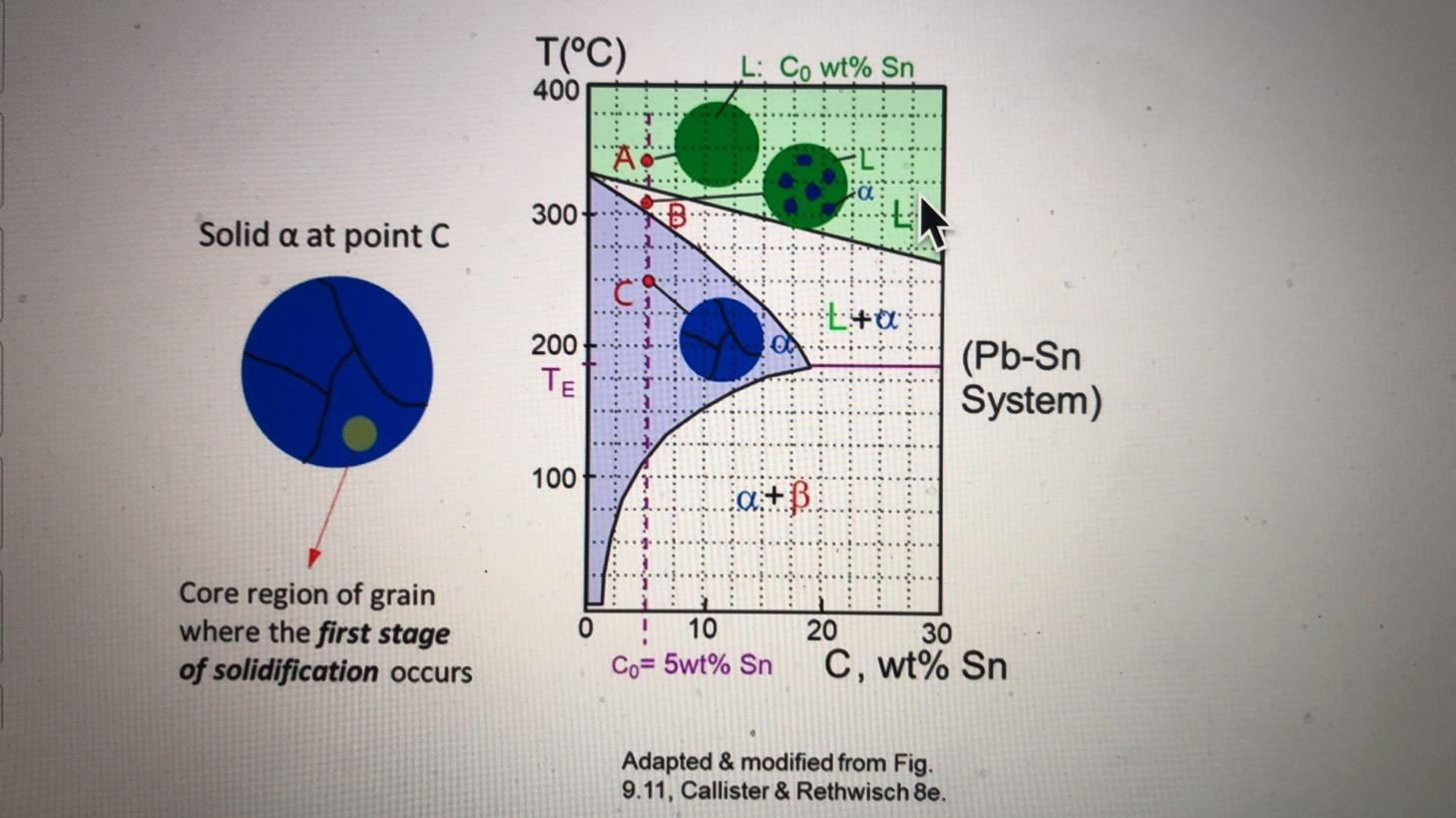 Consider a PbSn alloy of composition 95wt%Pd-5wt%Sn, | Chegg.com