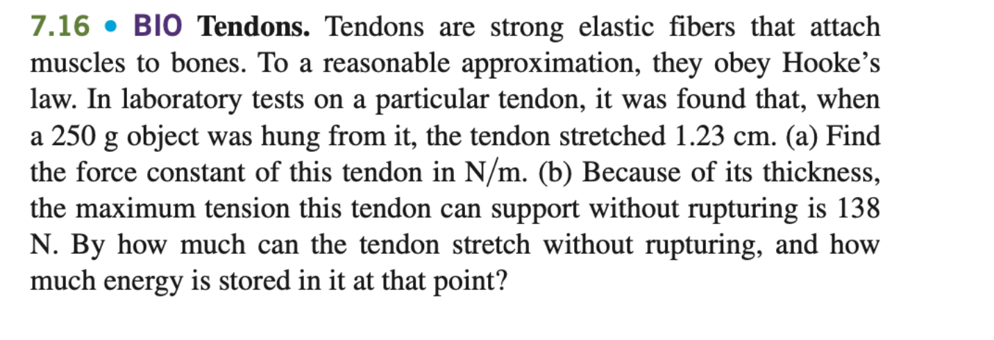 Solved 7.16 - BIO Tendons. Tendons are strong elastic fibers | Chegg.com