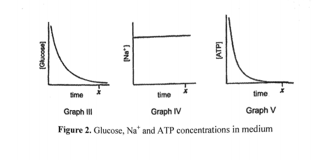 Solved Experiment 1 glucose-rich medium. The medium had a | Chegg.com