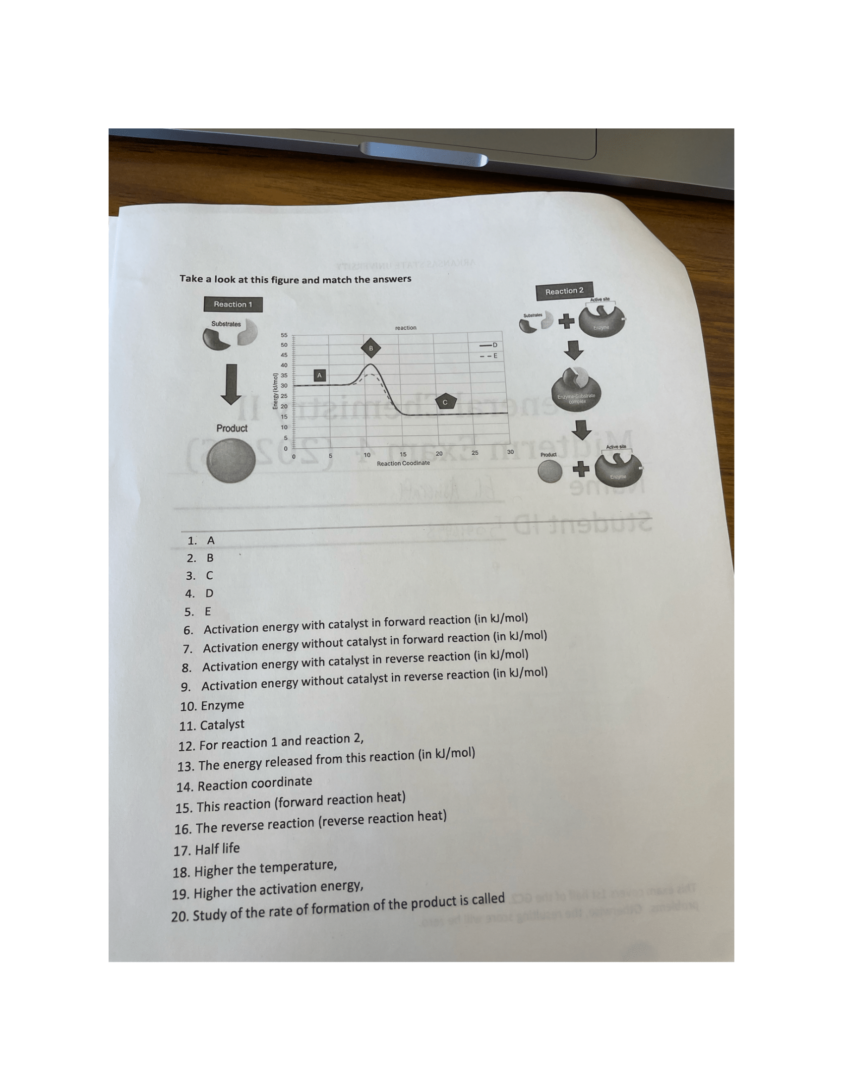 Solved Take a look at ﻿this figure and match the answers | Chegg.com